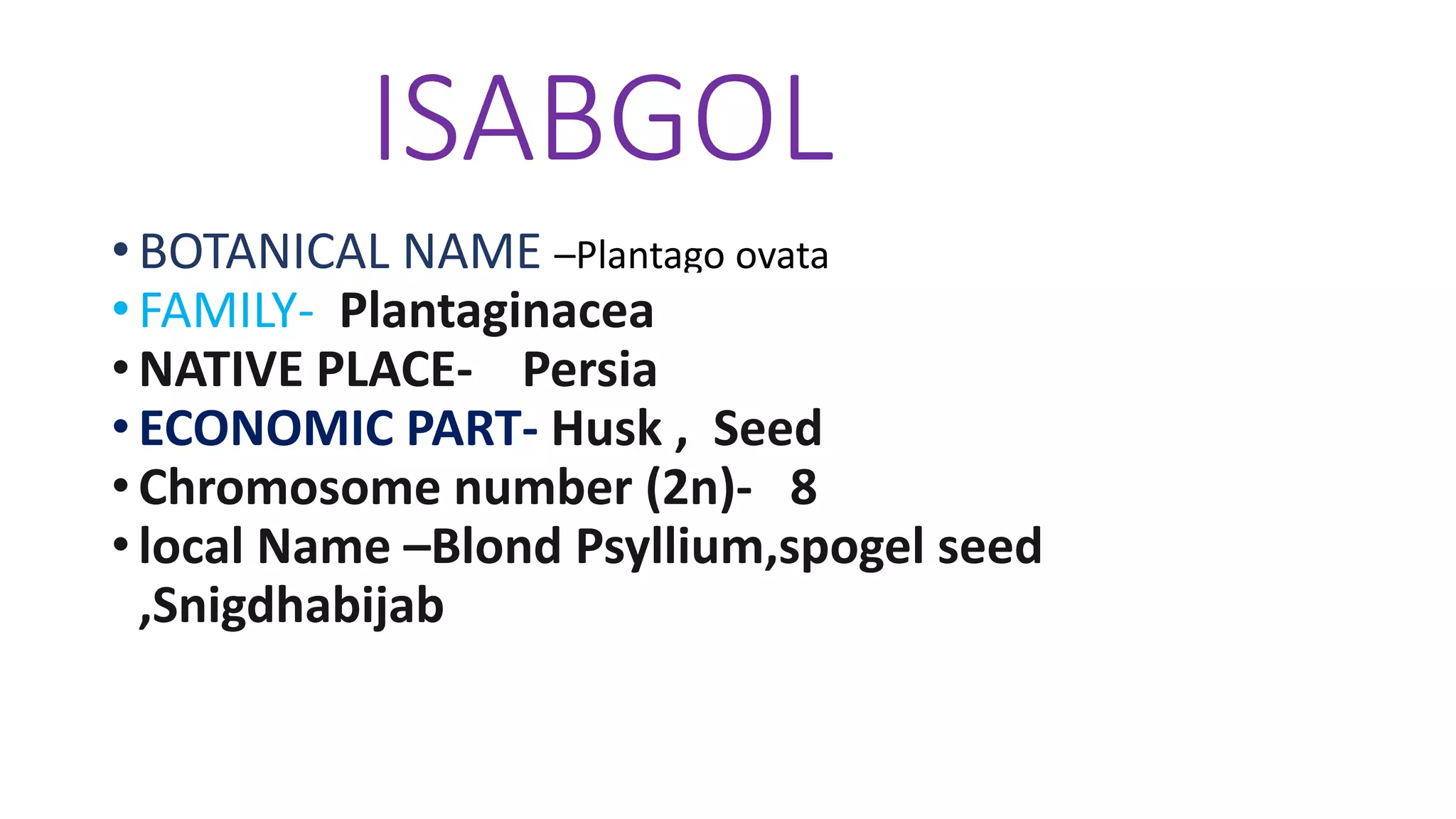 Isabgol - plantago ovata | PPTX