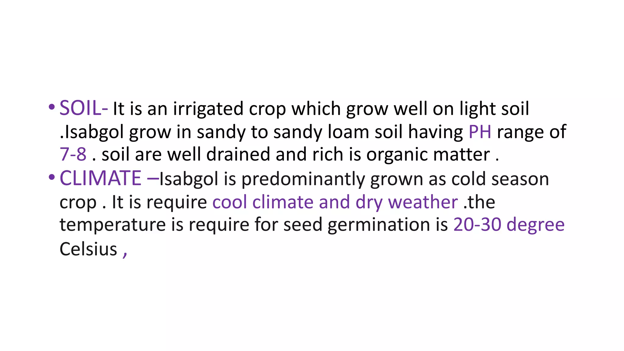 Isabgol - plantago ovata | PPTX