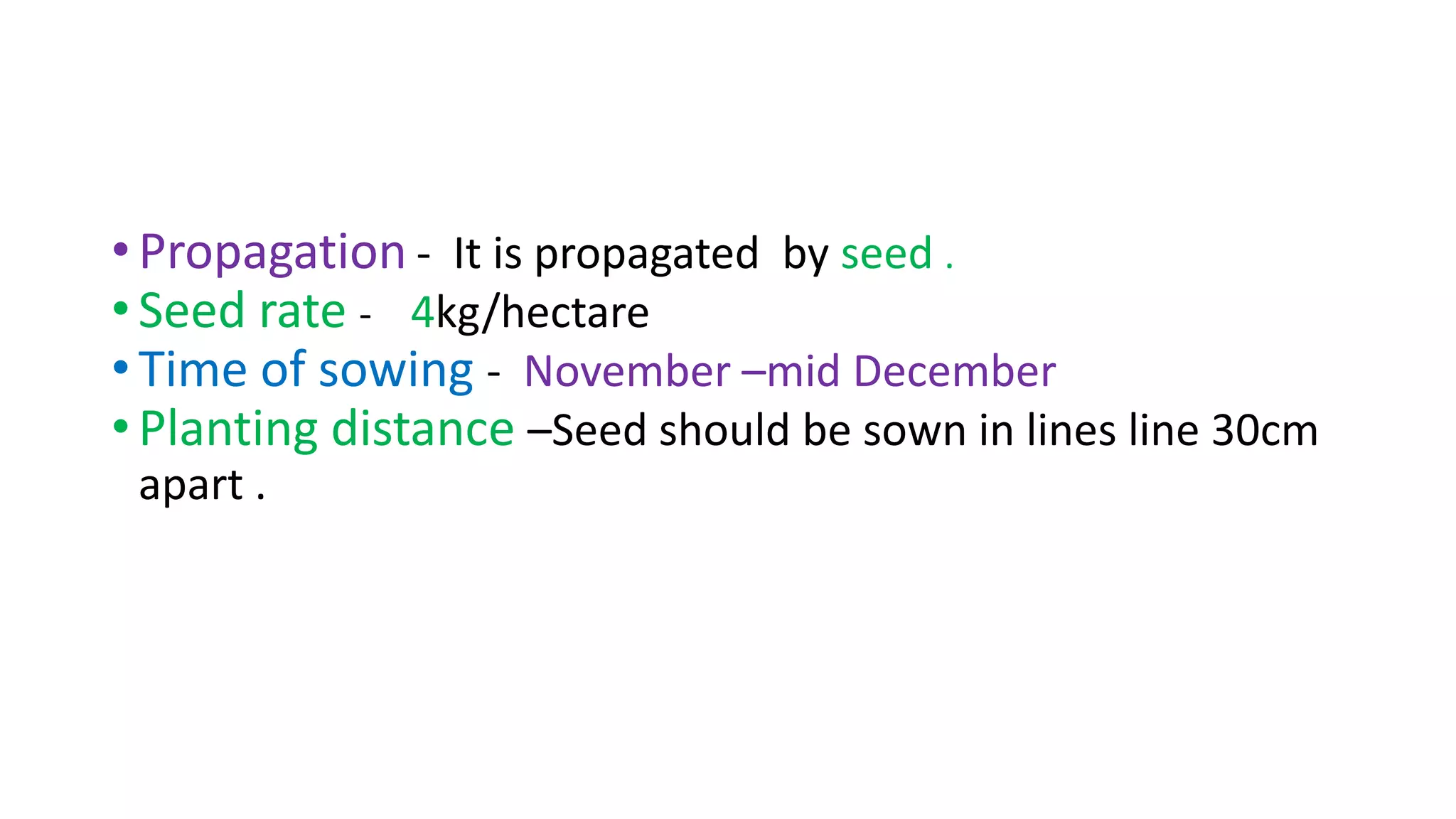 Isabgol - plantago ovata | PPTX