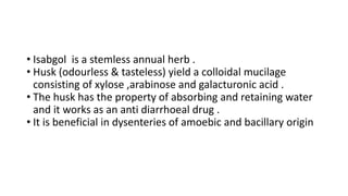 Isabgol - plantago ovata | PPTX