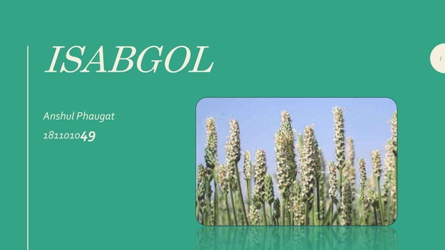 Isabgol | PPT