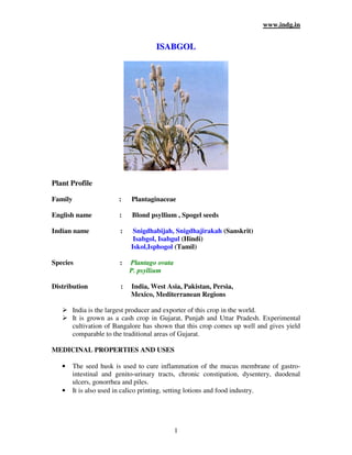 Production technology of isabgol in Horticulture | PDF