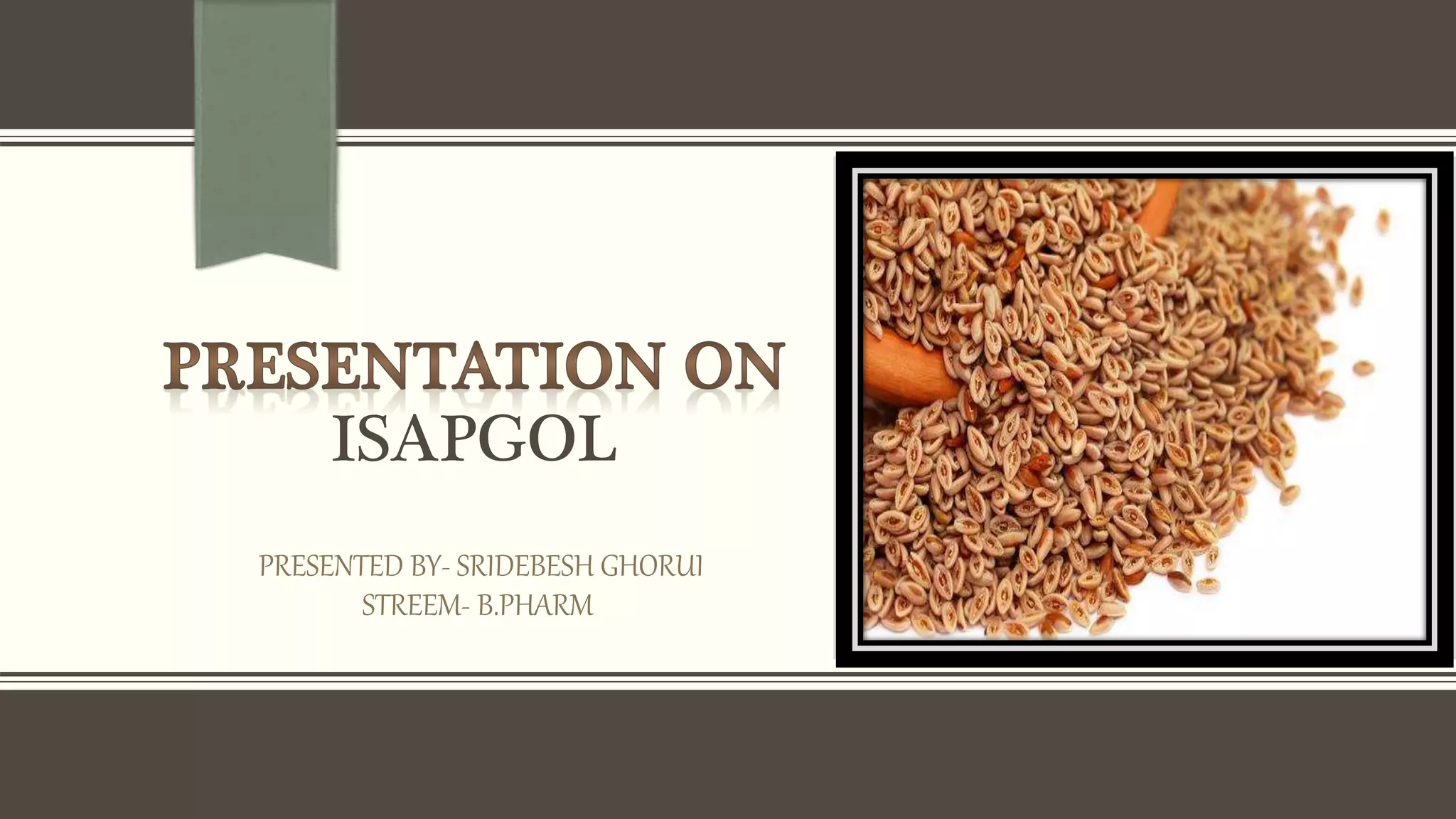 Isapgol | PPTX
