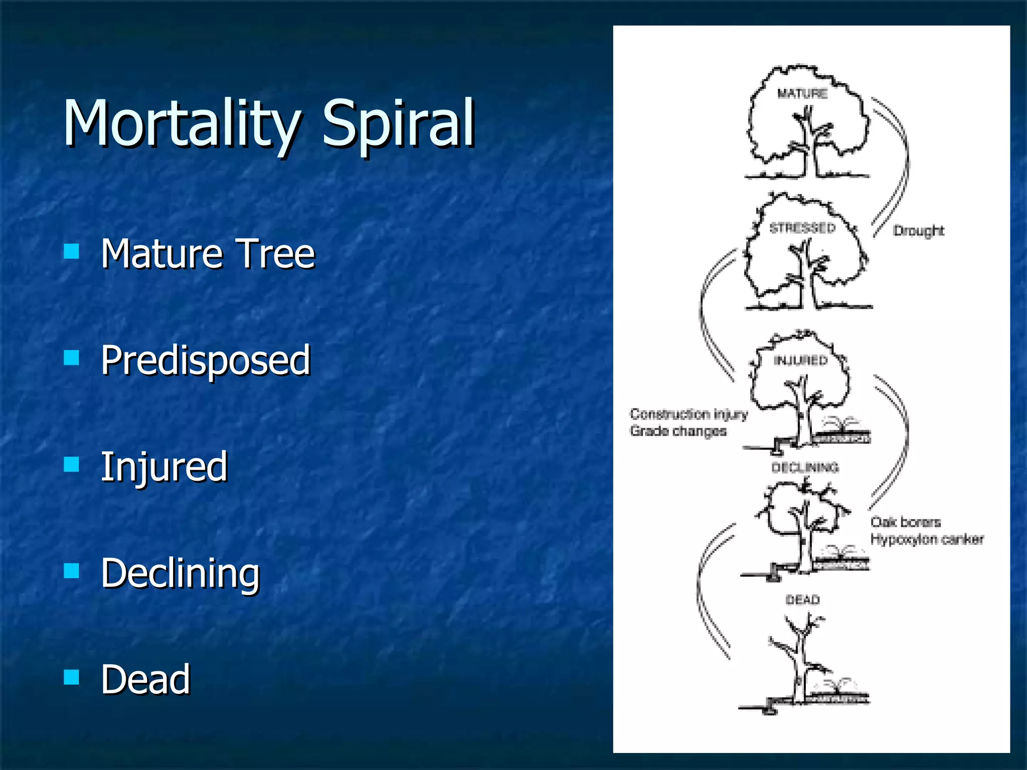 Isa plant health care | PPT
