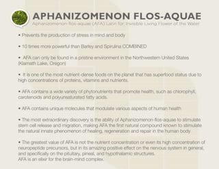 Infinity Supreme Alliance Presentation | PPTX