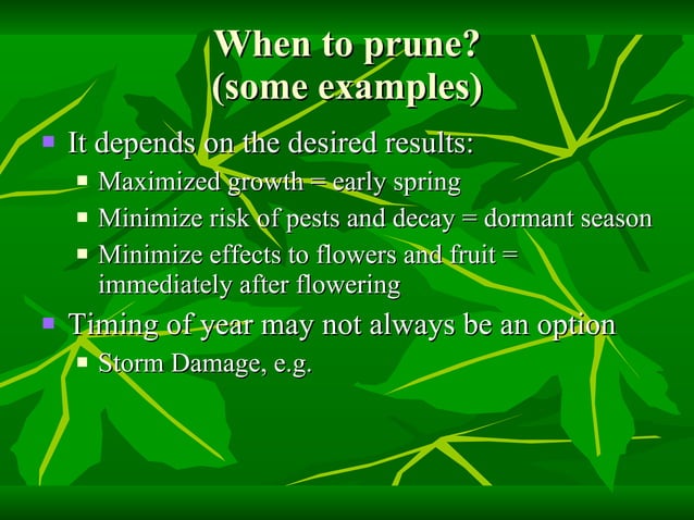 Isa pruning | PPT