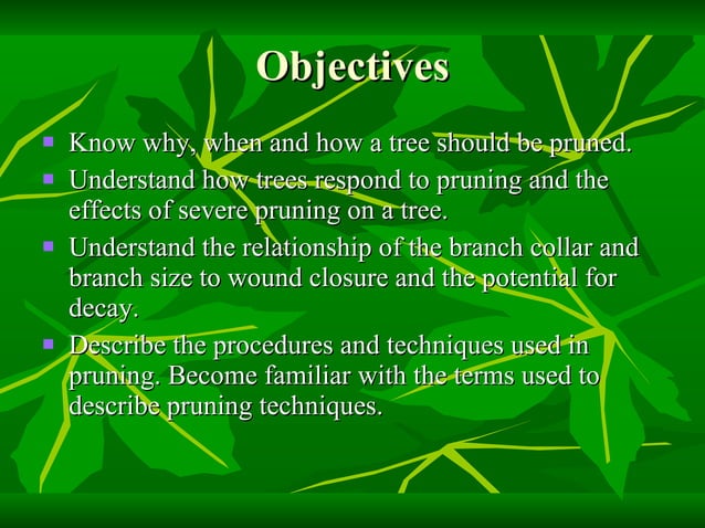 Isa pruning | PPT