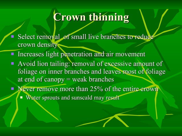 Isa pruning | PPT