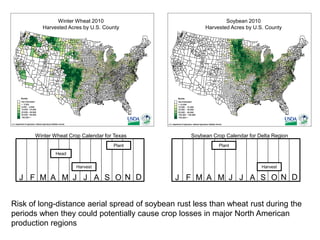 Isard bgri 2011 presentation | PPT | Free Download