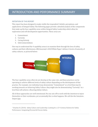 ISA 360 sample report_Standard | PDF
