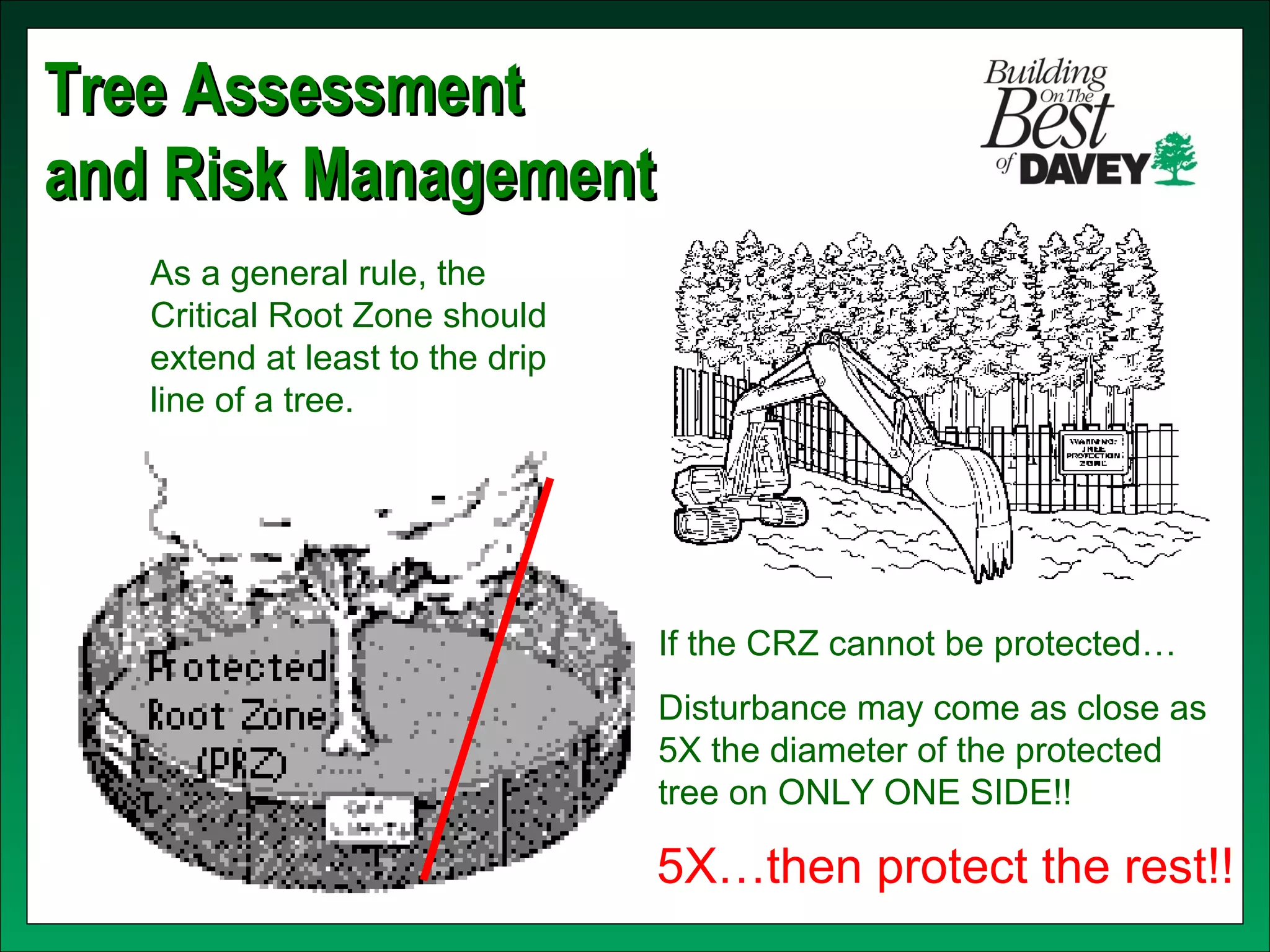 Isa training tree risk assessment & cabling bracing | PPT | Auto Safety ...