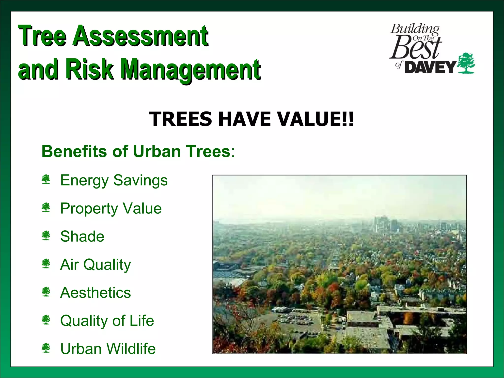 Isa training tree risk assessment & cabling bracing | PPT