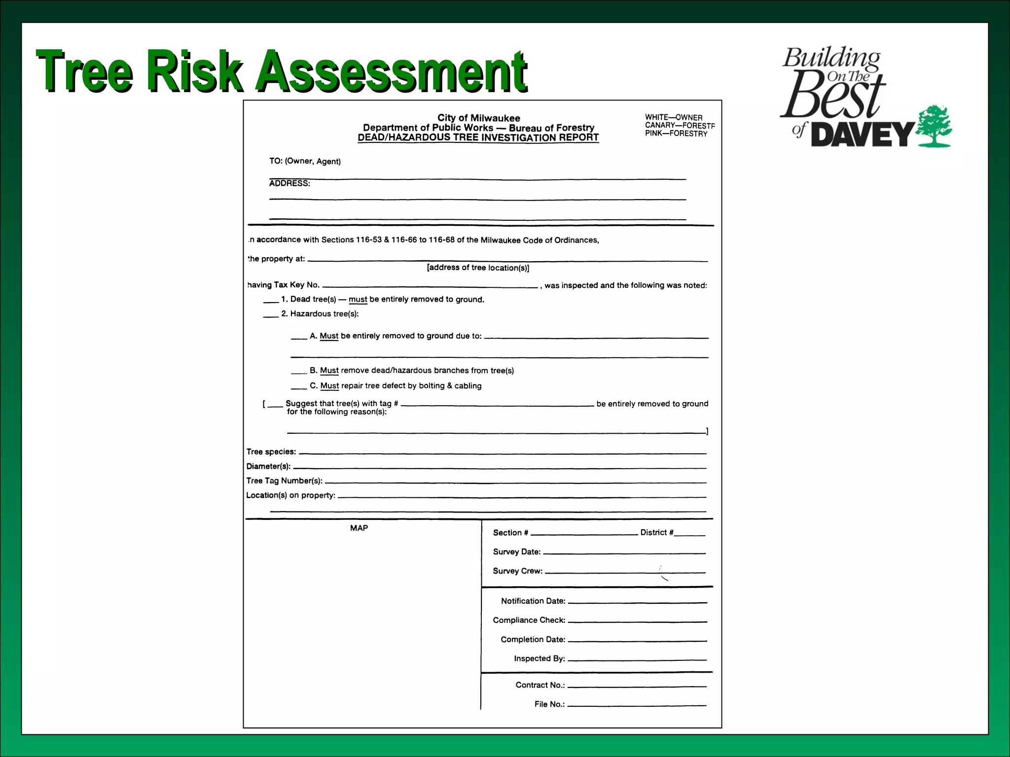 Isa training tree risk assessment & cabling bracing | PPT | Auto Safety ...
