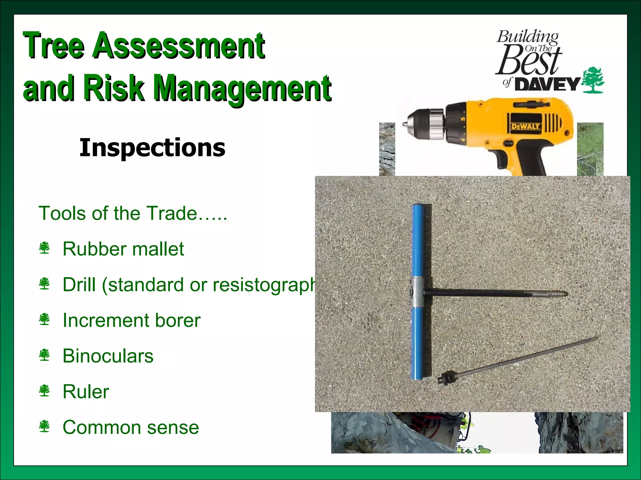 Isa training tree risk assessment & cabling bracing | PPT | Auto Safety ...