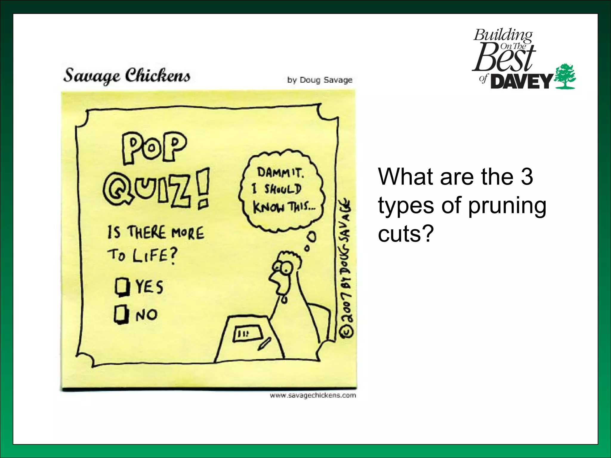 Isa training tree risk assessment & cabling bracing | PPT