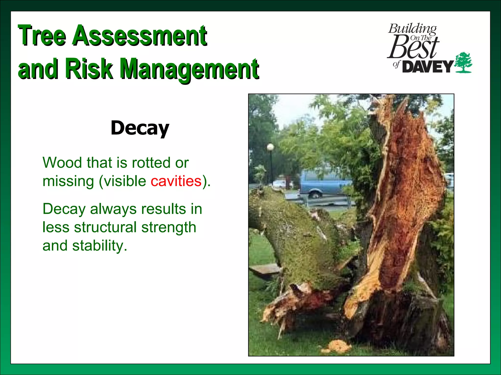 Isa training tree risk assessment & cabling bracing | PPT | Auto Safety ...