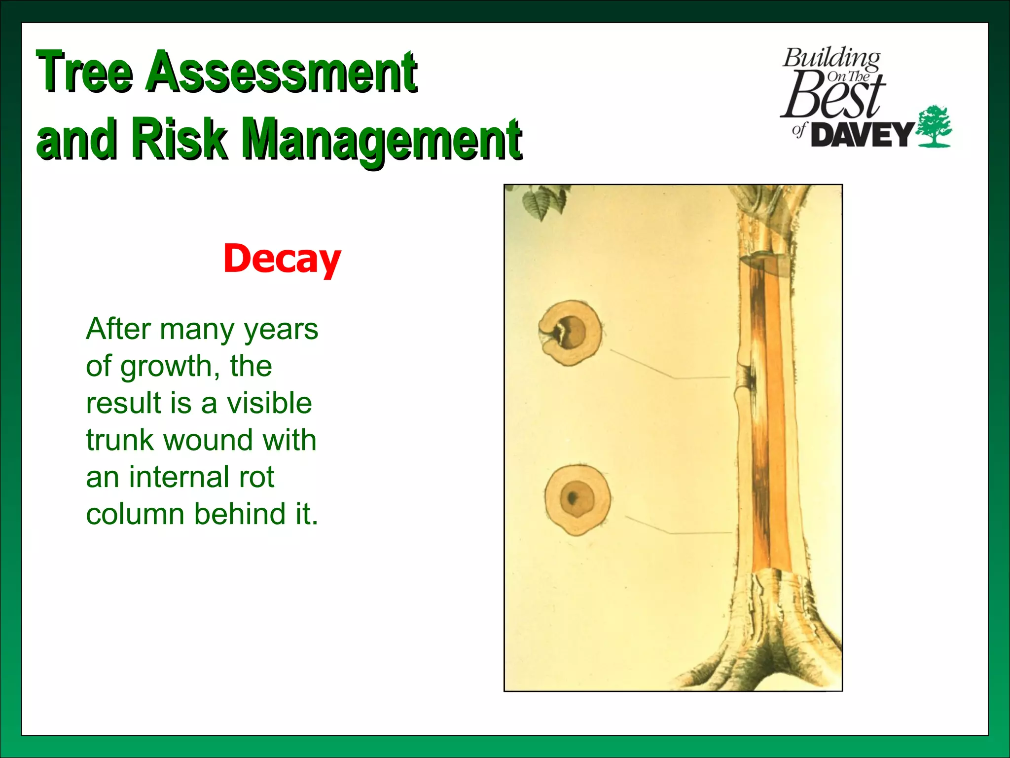 Isa training tree risk assessment & cabling bracing | PPT | Auto Safety ...