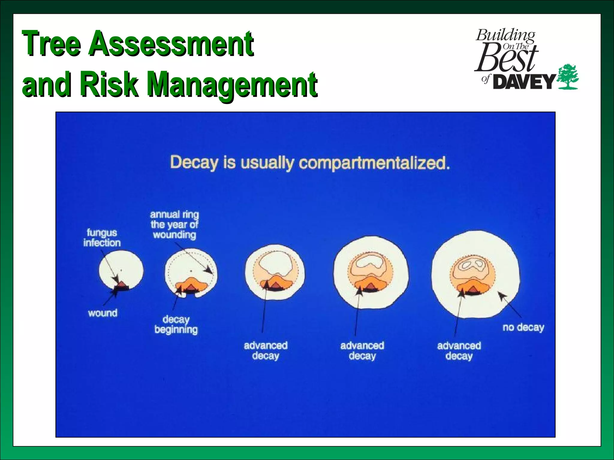 Isa training tree risk assessment & cabling bracing | PPT | Auto Safety ...