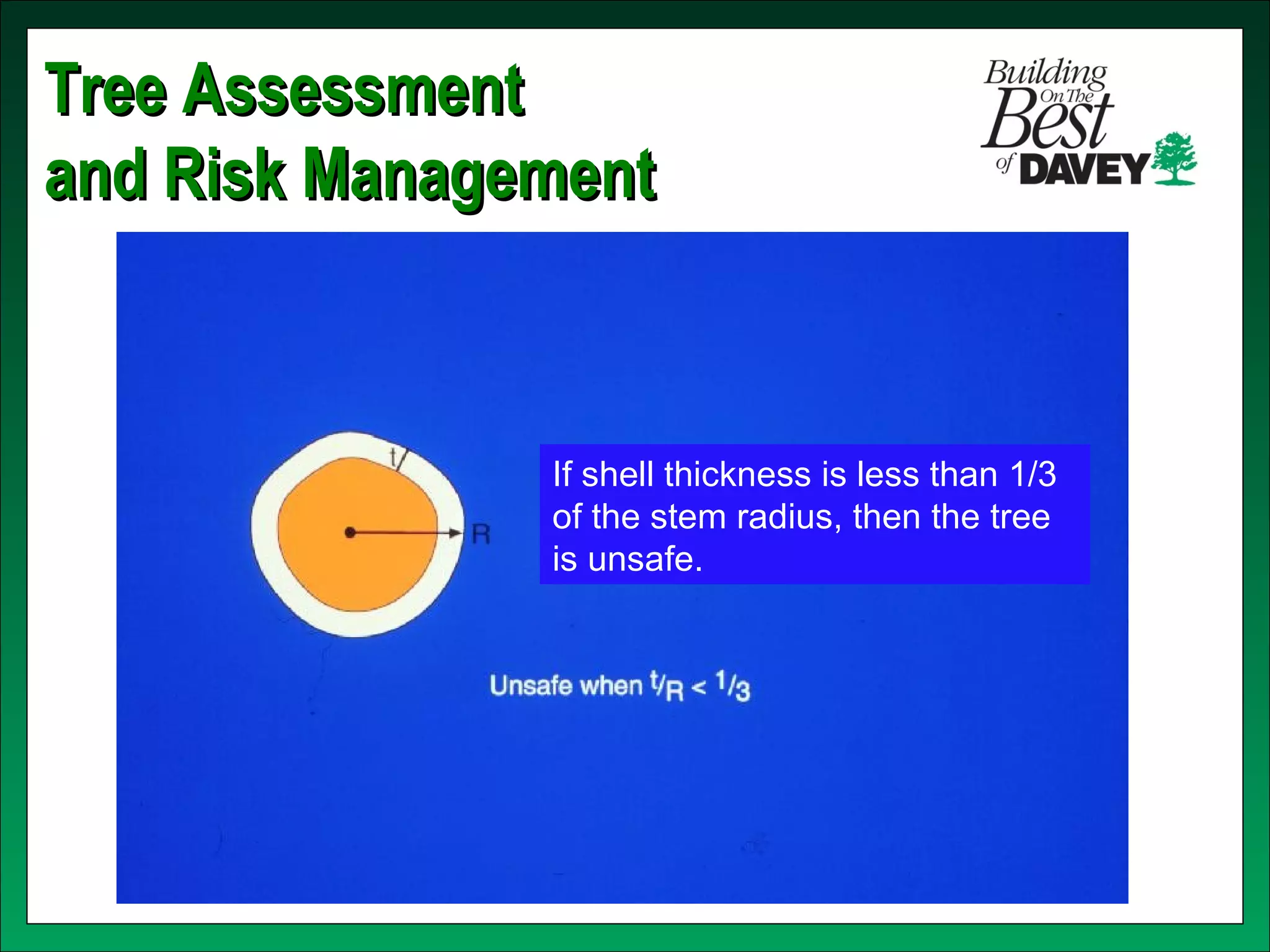 Isa training tree risk assessment & cabling bracing | PPT | Auto Safety ...