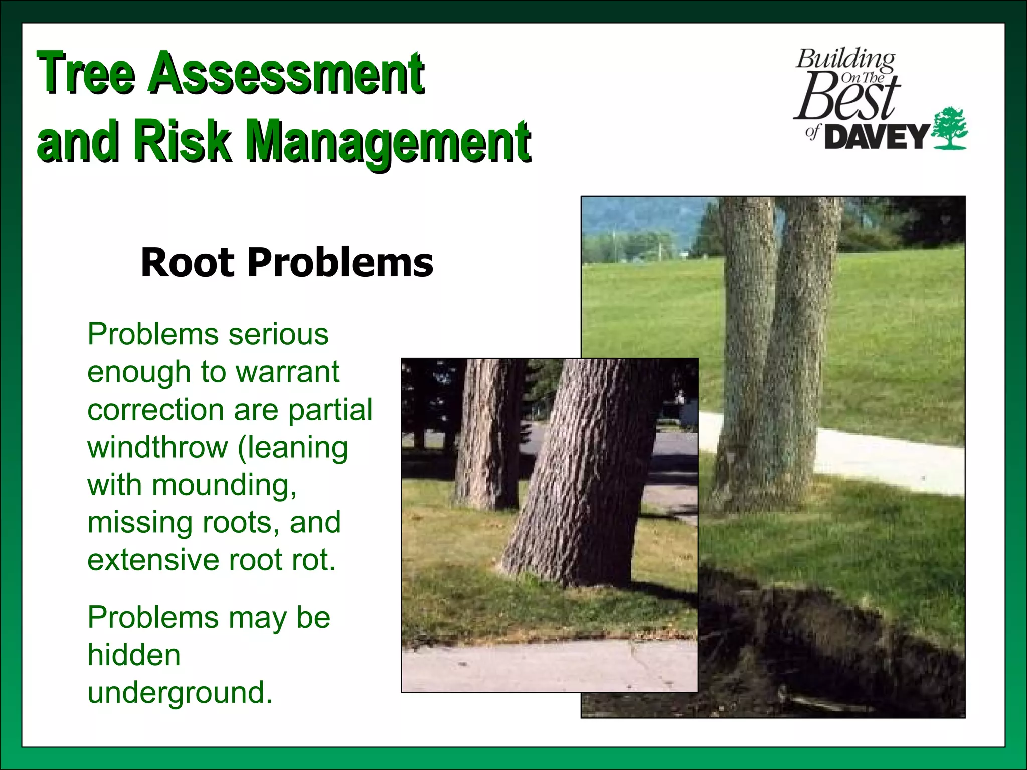 Isa training tree risk assessment & cabling bracing | PPT | Auto Safety ...