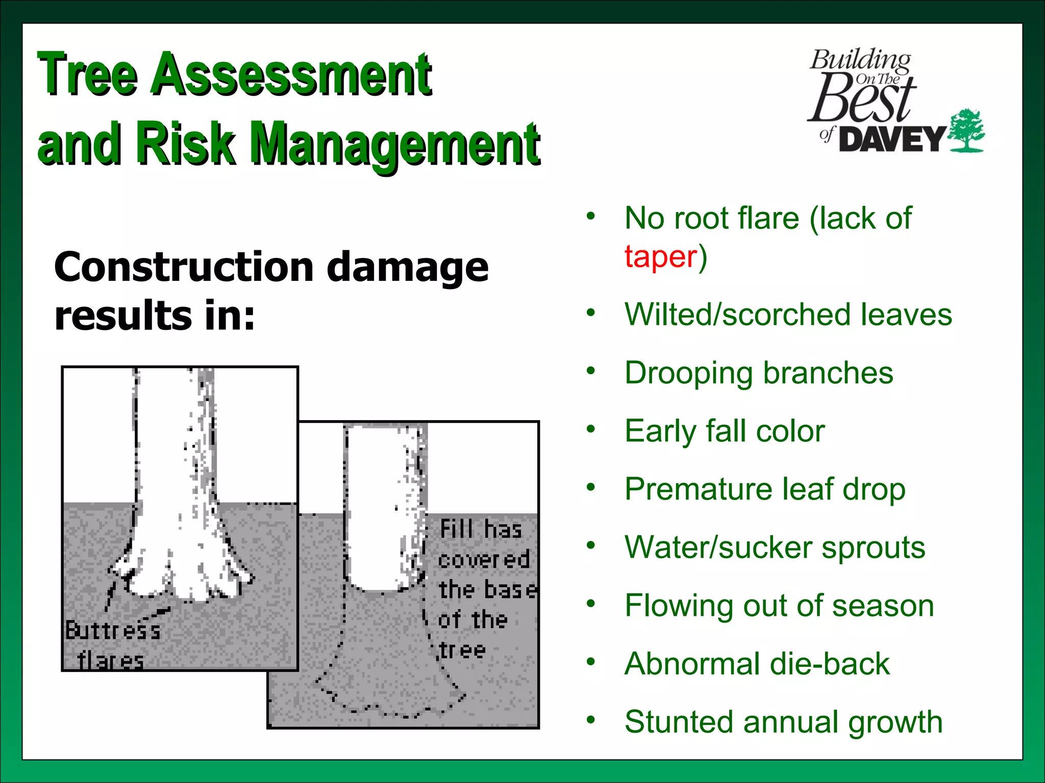 Isa training tree risk assessment & cabling bracing | PPT | Auto Safety ...