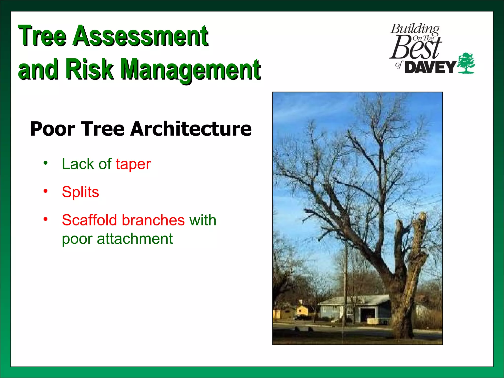 Isa training tree risk assessment & cabling bracing | PPT | Auto Safety ...