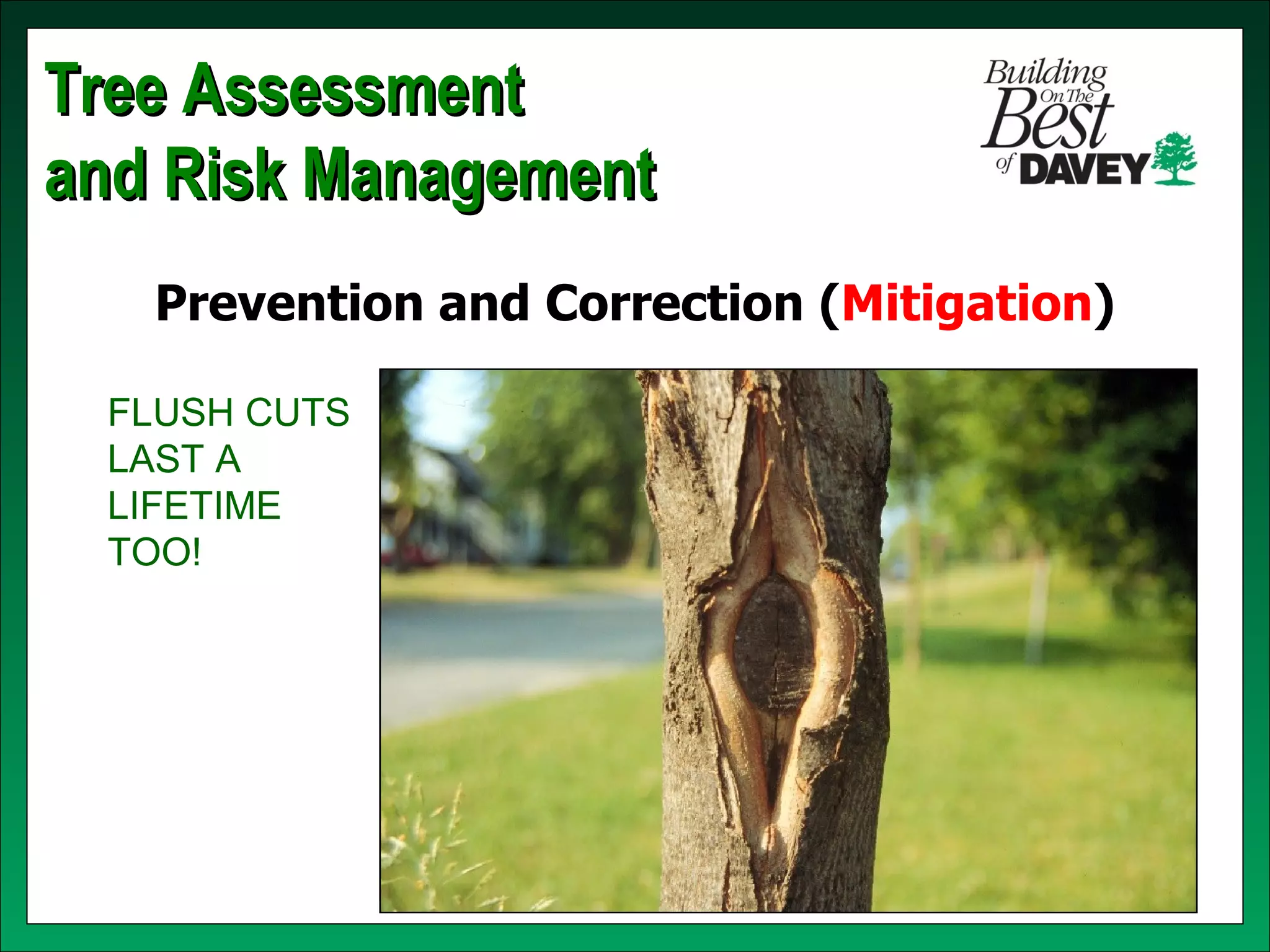 Isa training tree risk assessment & cabling bracing | PPT | Auto Safety ...