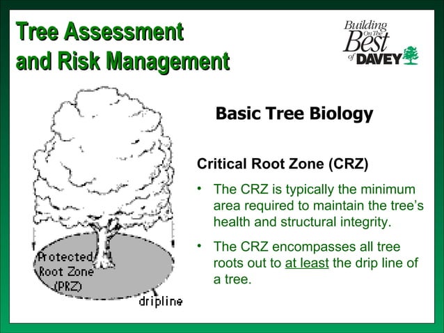 Isa training tree risk assessment & cabling bracing | PPT