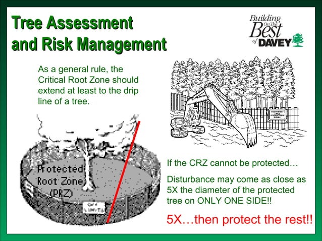 Isa training tree risk assessment & cabling bracing | PPT