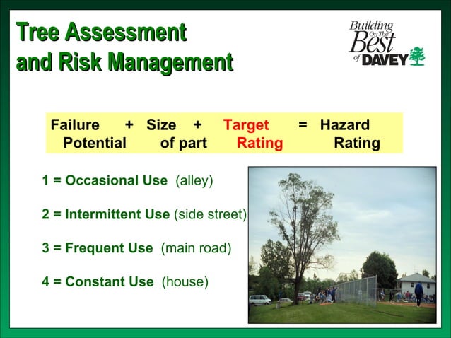 Isa training tree risk assessment & cabling bracing | PPT