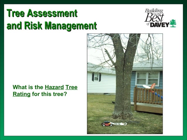 Isa training tree risk assessment & cabling bracing | PPT