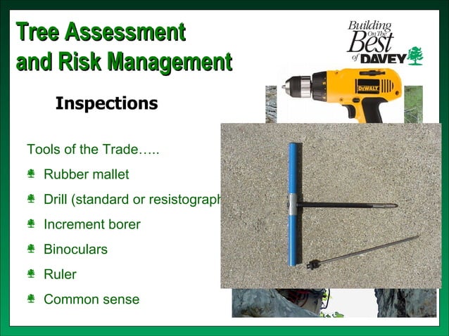 Isa training tree risk assessment & cabling bracing | PPT