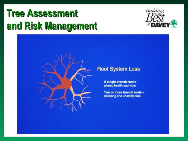 Isa training tree risk assessment & cabling bracing | PPT