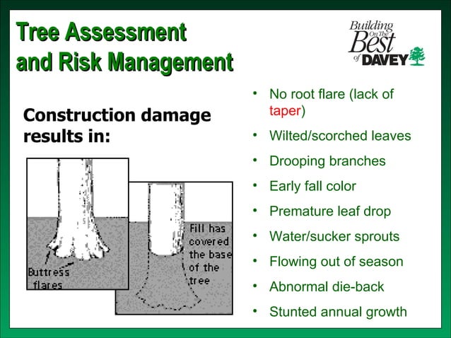 Isa training tree risk assessment & cabling bracing | PPT