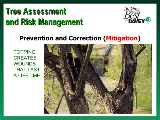Isa training tree risk assessment & cabling bracing | PPT