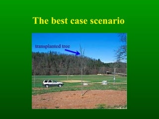 Isa tree planting second half | PPT