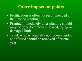 Isa tree planting second half | PPT