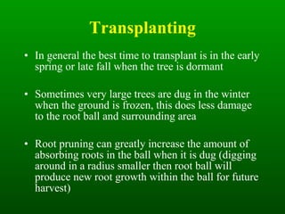 Isa tree planting second half | PPT