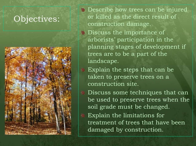 Isa trees and construction mark | PPTX | Woodworking | Arts and Crafts