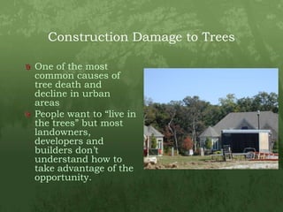 Isa trees and construction mark | PPTX