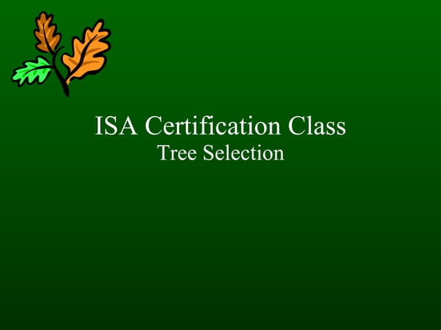 Isa tree selection 1 | PPT