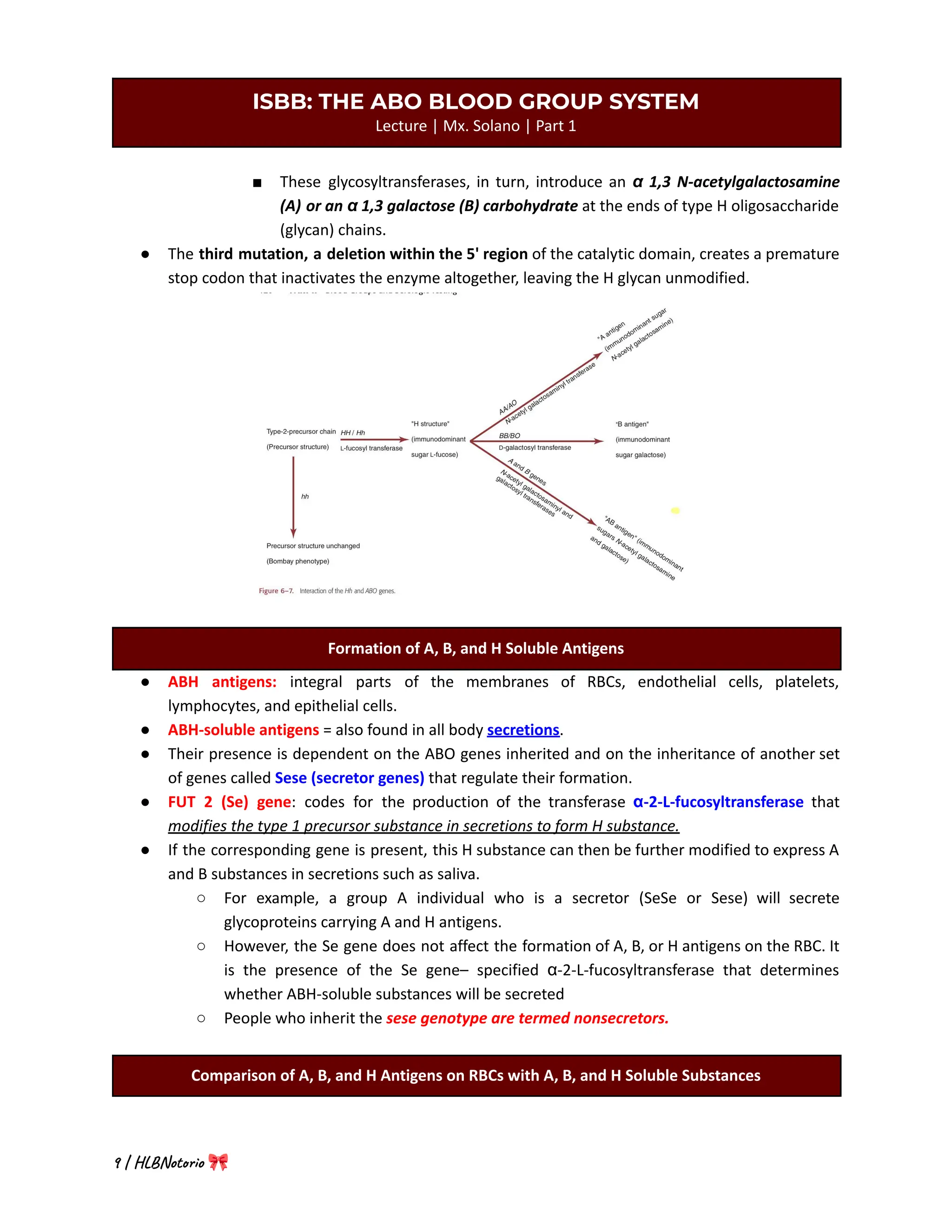 ISBB LEC: THE ABO BLOOD GROUP (PART 1).pdf