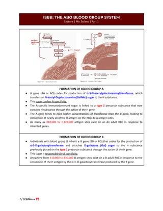 ISBB LEC: THE ABO BLOOD GROUP (PART 1).pdf