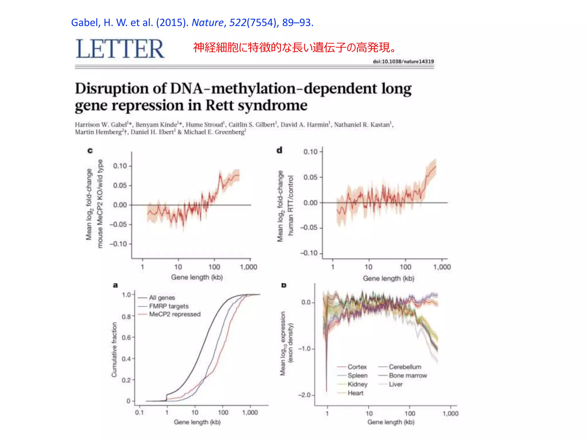 ISBM reading moda | PPTX | Brain and Nervous System Disorders ...