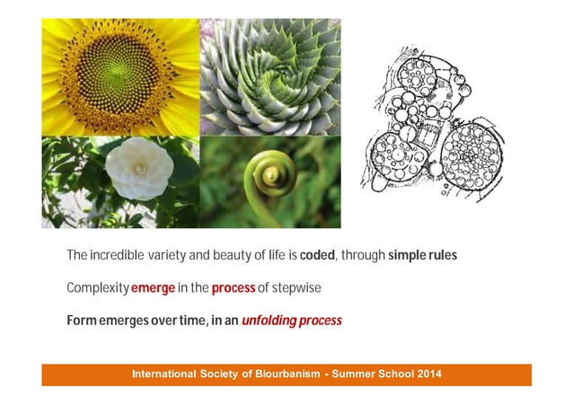 Neuroergonomics and sociogenesis, lectures part3 | PDF | Genetics | Science