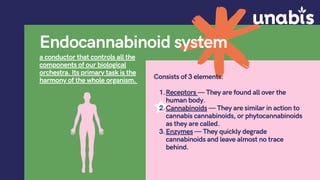 Is CBD Addictive? (Unabis) | PPT