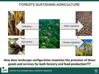 Changing landscapes: From forests to food | PPTX