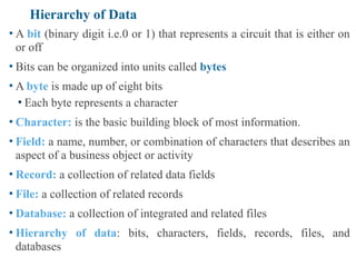 Fundamentals of information systems chapter 3.ppt