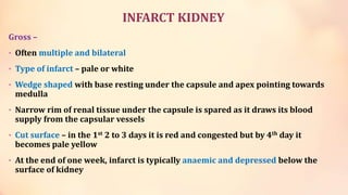 ischemia-and-infarction.ppt