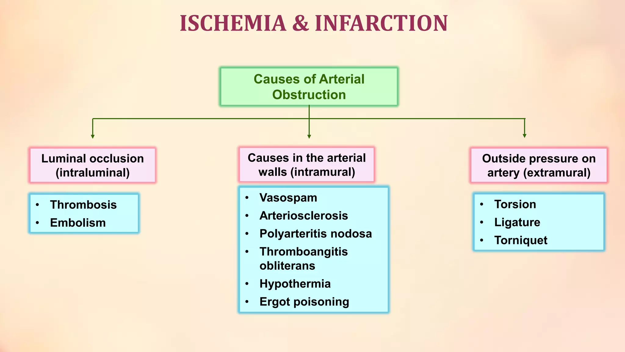 ischemia and infarction.pdf